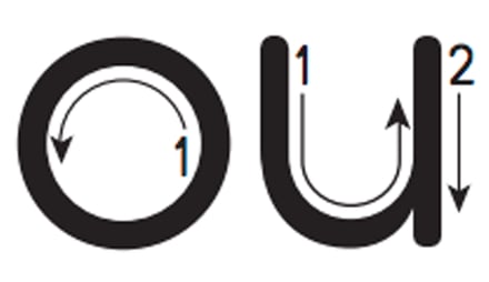 Dive Into a CKLA Skills Lesson