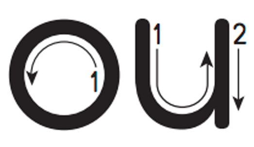 Dive Into a CKLA Skills Lesson